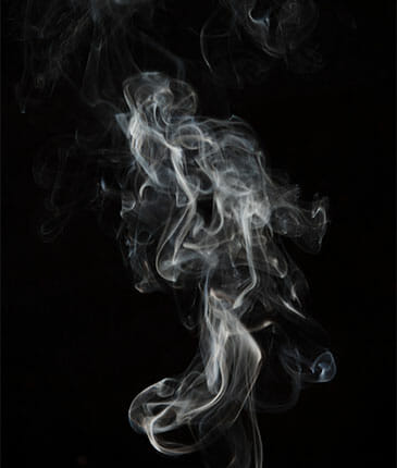 Turning Leaf Online & Retail Cigar, Vape, CBD & Wellness Store