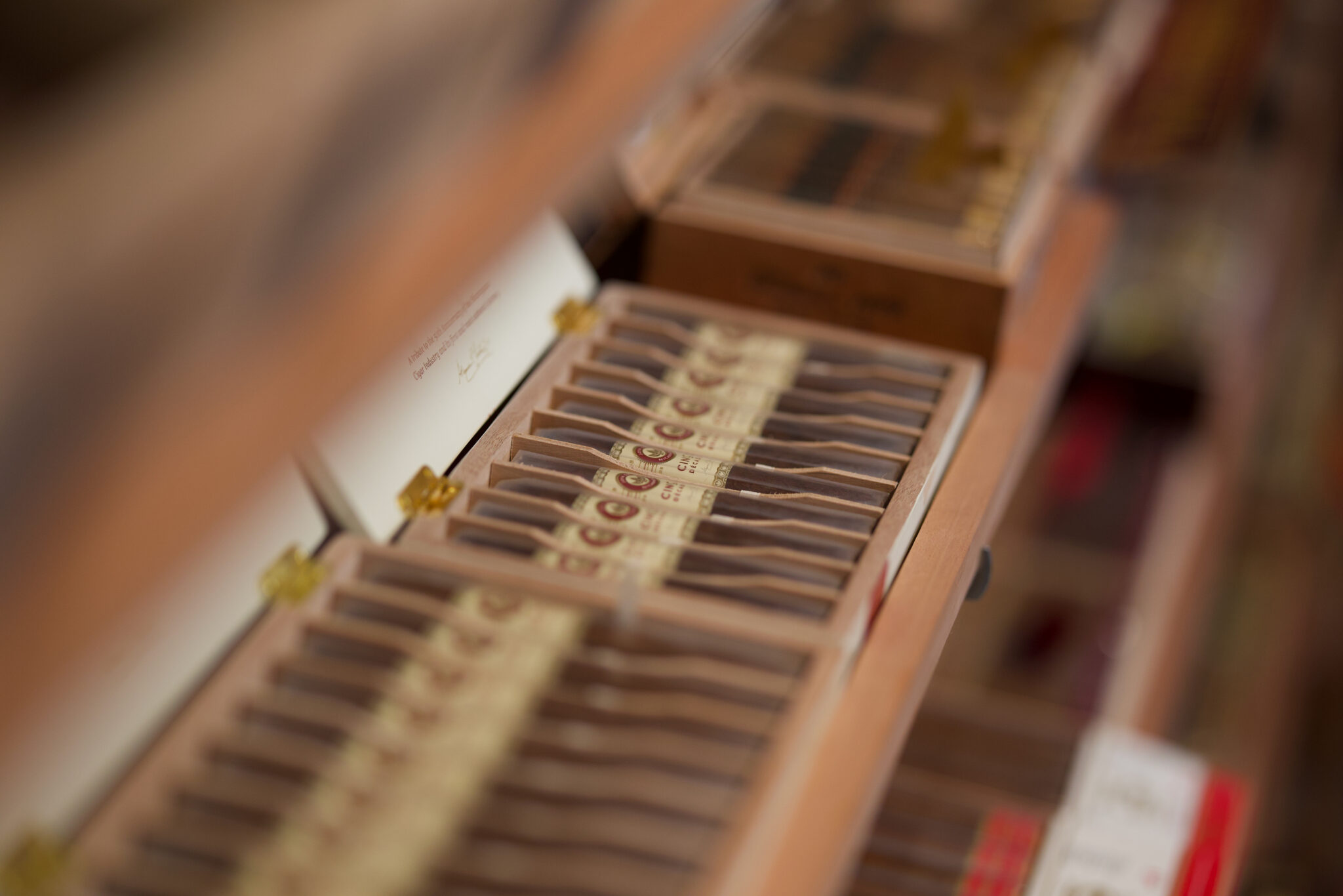 Exploring Spicy Cigars & Some Of Our Top Picks | Turning Leaf