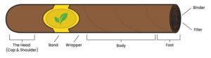 Learn The Anatomy Of A Cigar & How Each Part Contributes To The Smoke
